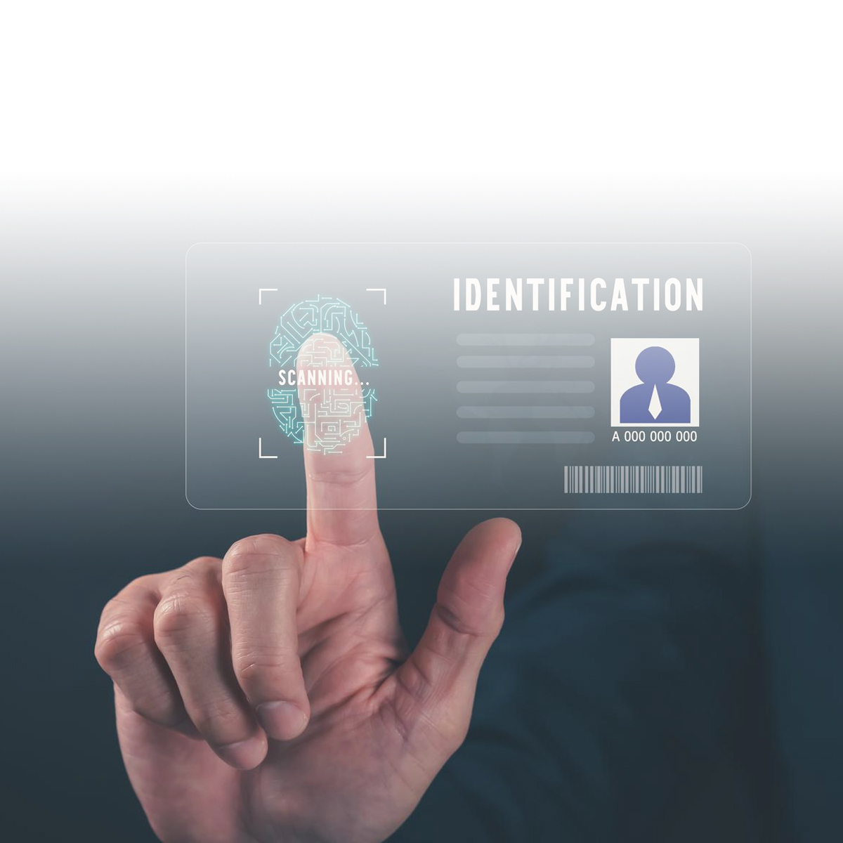 Identity - Cyberlinx